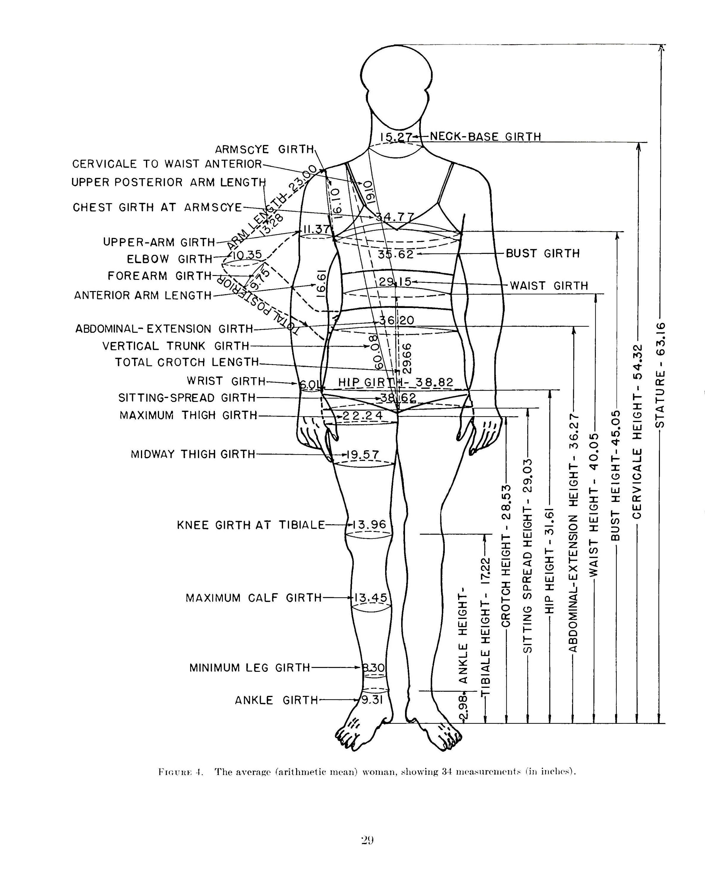 Women's Measurements for Garment and Pattern Construction - 1941 ...