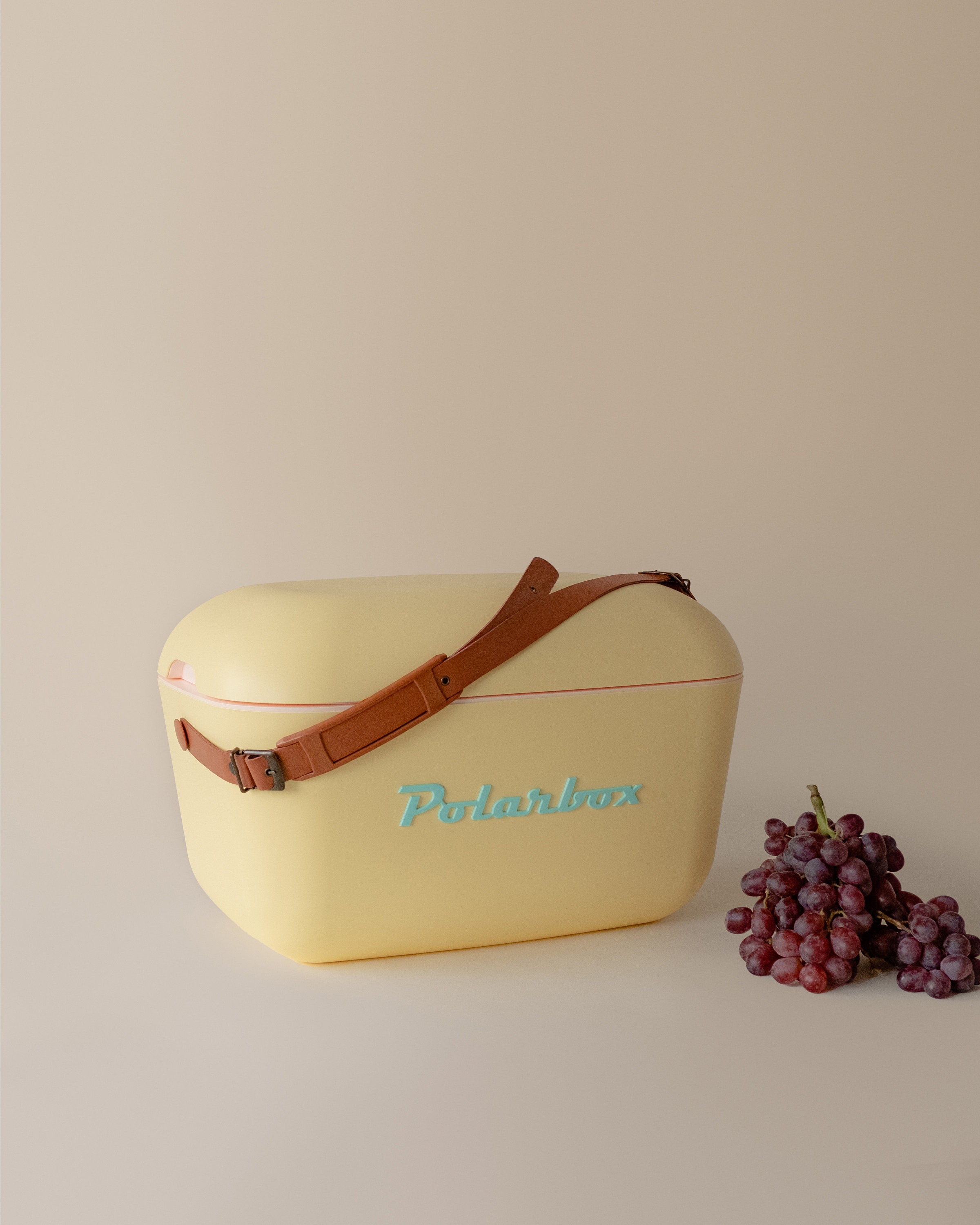Retro Yellow Picnic Cooler – 20L Vintage Cooling Box - Etsy