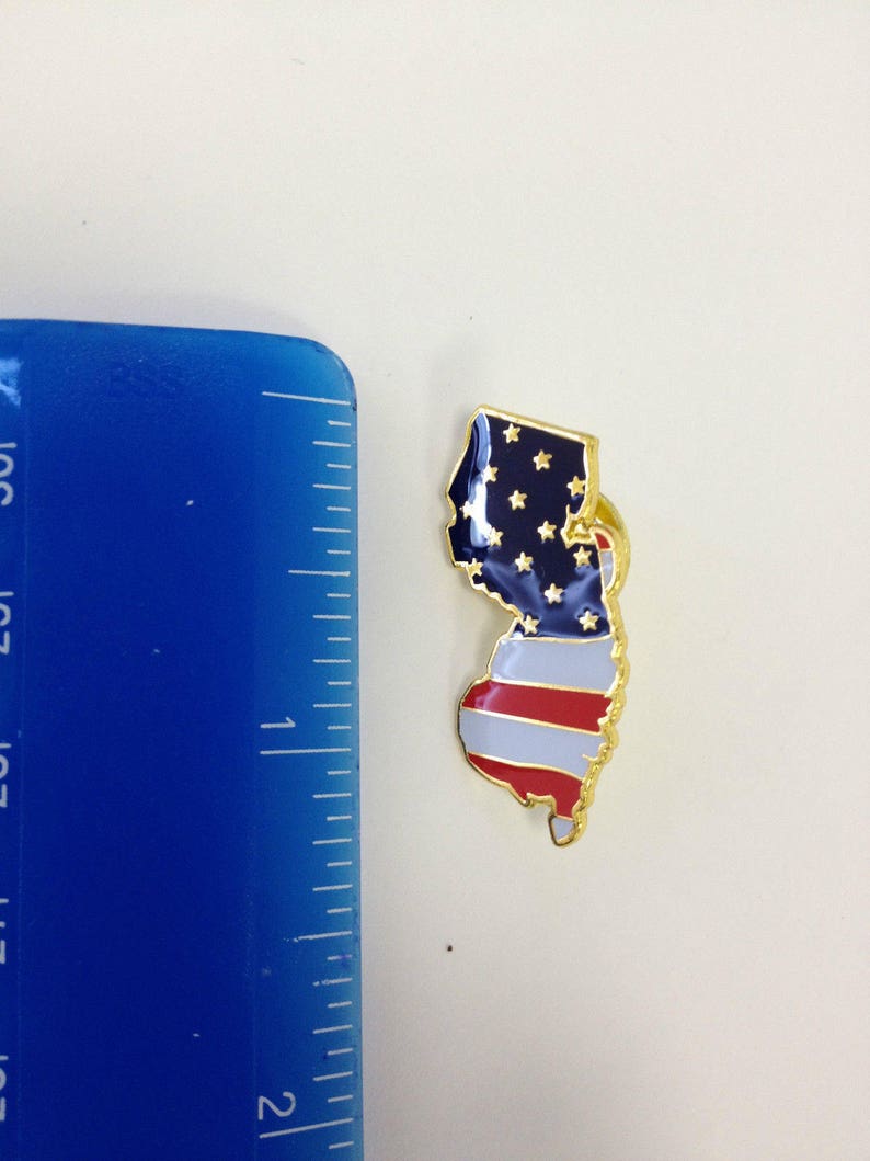 New Jersey State Lapel Pin NJ US Flag American USA Patriot Politics Old ...