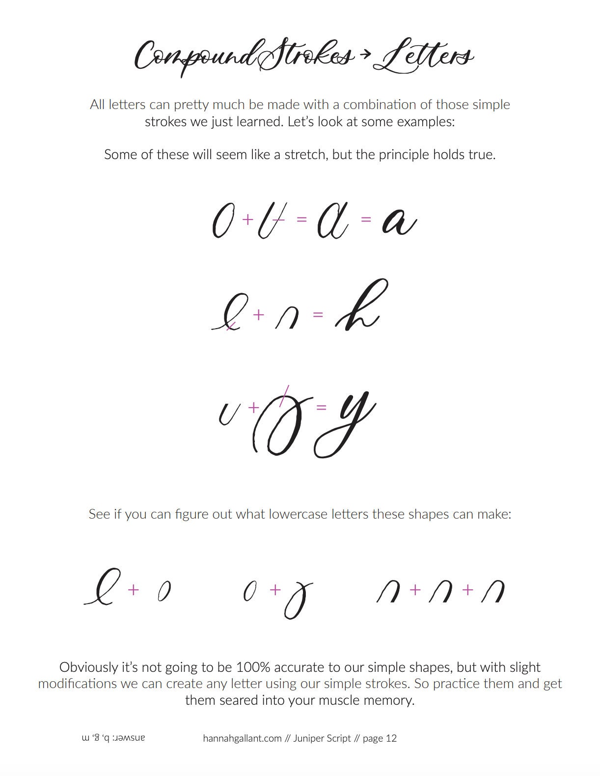 Juniper Calligraphy Worksheet 50 Pages of Content Deluxe Ebook Digital ...