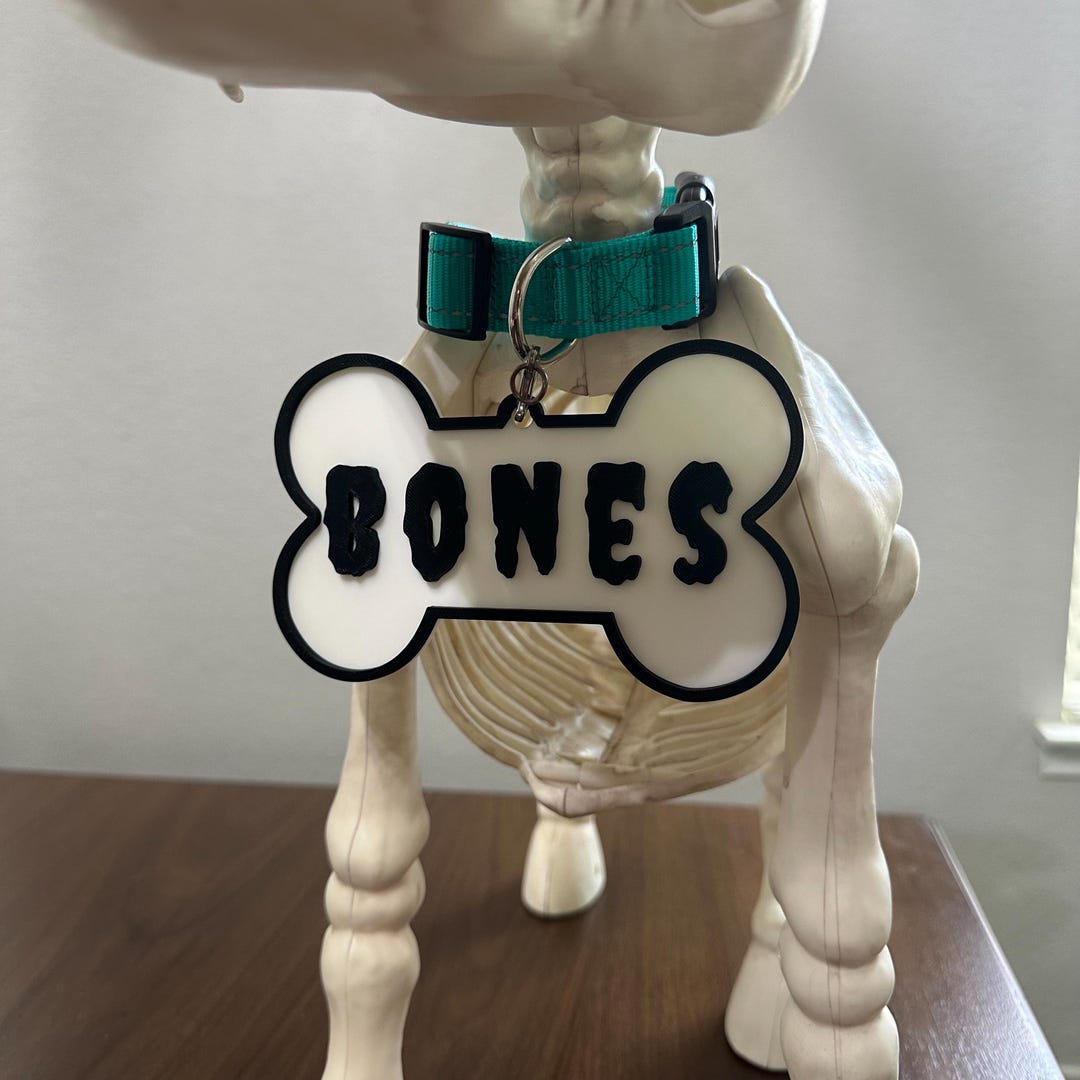 3D Printed Custom Small Dog Bone Name Tag for Skelly Critters, Skelly ...