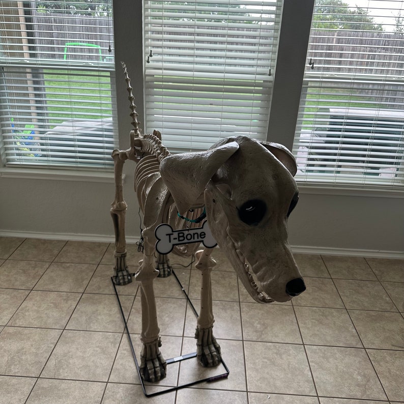 3D Printed Custom Dog Bone Name Tag for 7ft Skelly Dog - Etsy