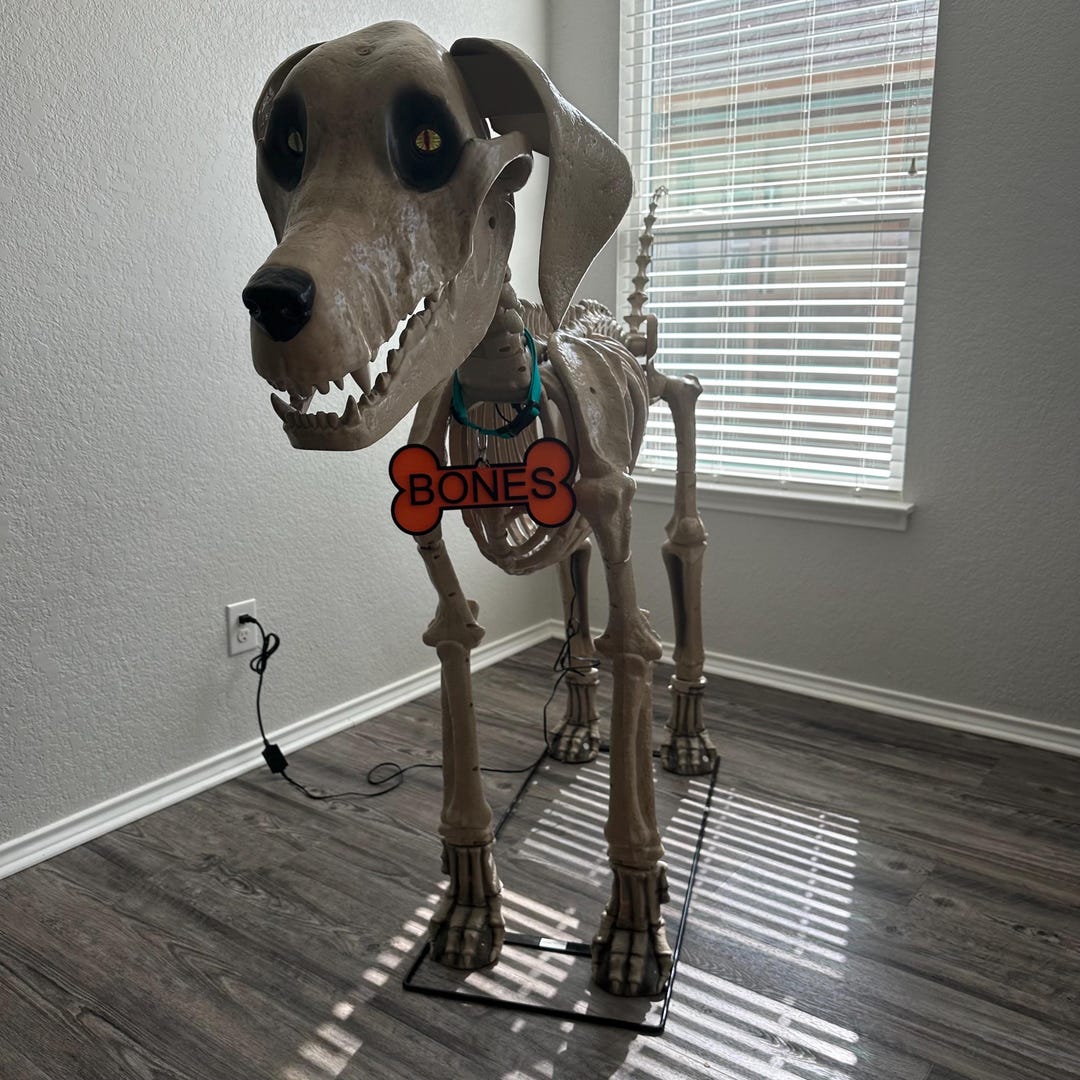3D Printed Custom Dog Bone Name Tag for 7ft Skelly Dog Orange/black - Etsy