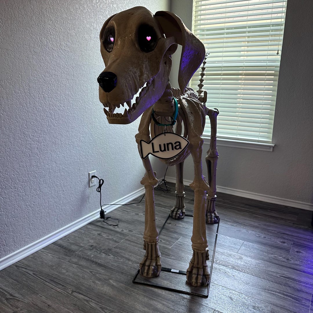 3D Printed Custom Cat Fish Name Tag for 7ft Skelly Cat/dog White/black ...