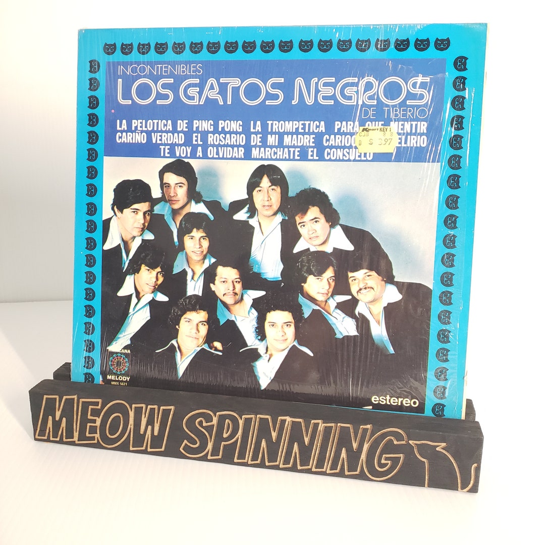 Meow Spinning Vinyl Record Display - Etsy