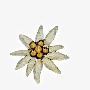 Glubbal ( Glupperl ) Edelweiß Holz + Text - Etsy.de