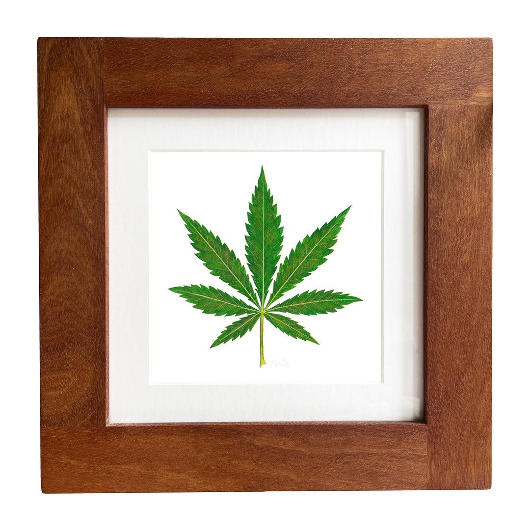 Cannabis Leaf Art Print in Multiple Sizes Giclée Print of an Original Painting Archival Quality ...