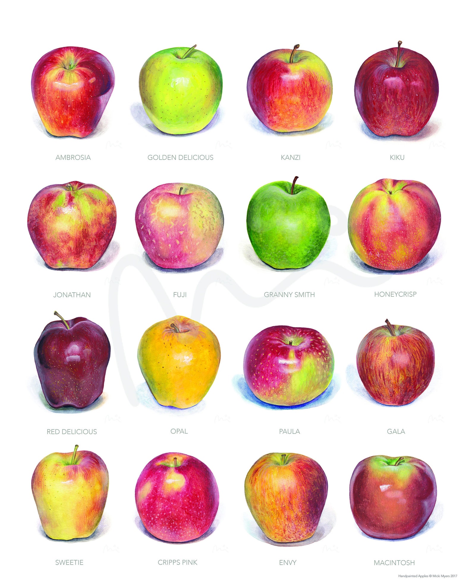 Apple Poster Handpainted Apples Fall Harvest Fine Art - Etsy