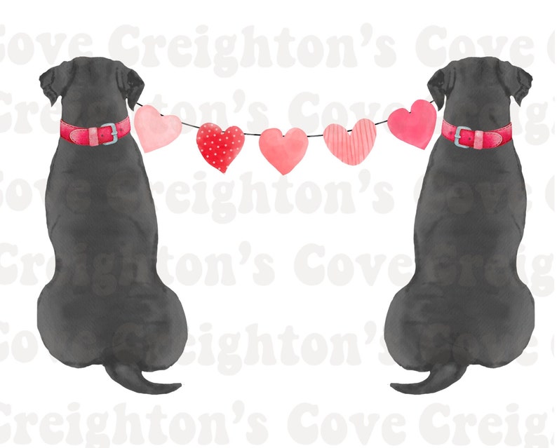 Watercolor Black Lab Valentines Day Png Boys Valentine Png - Etsy