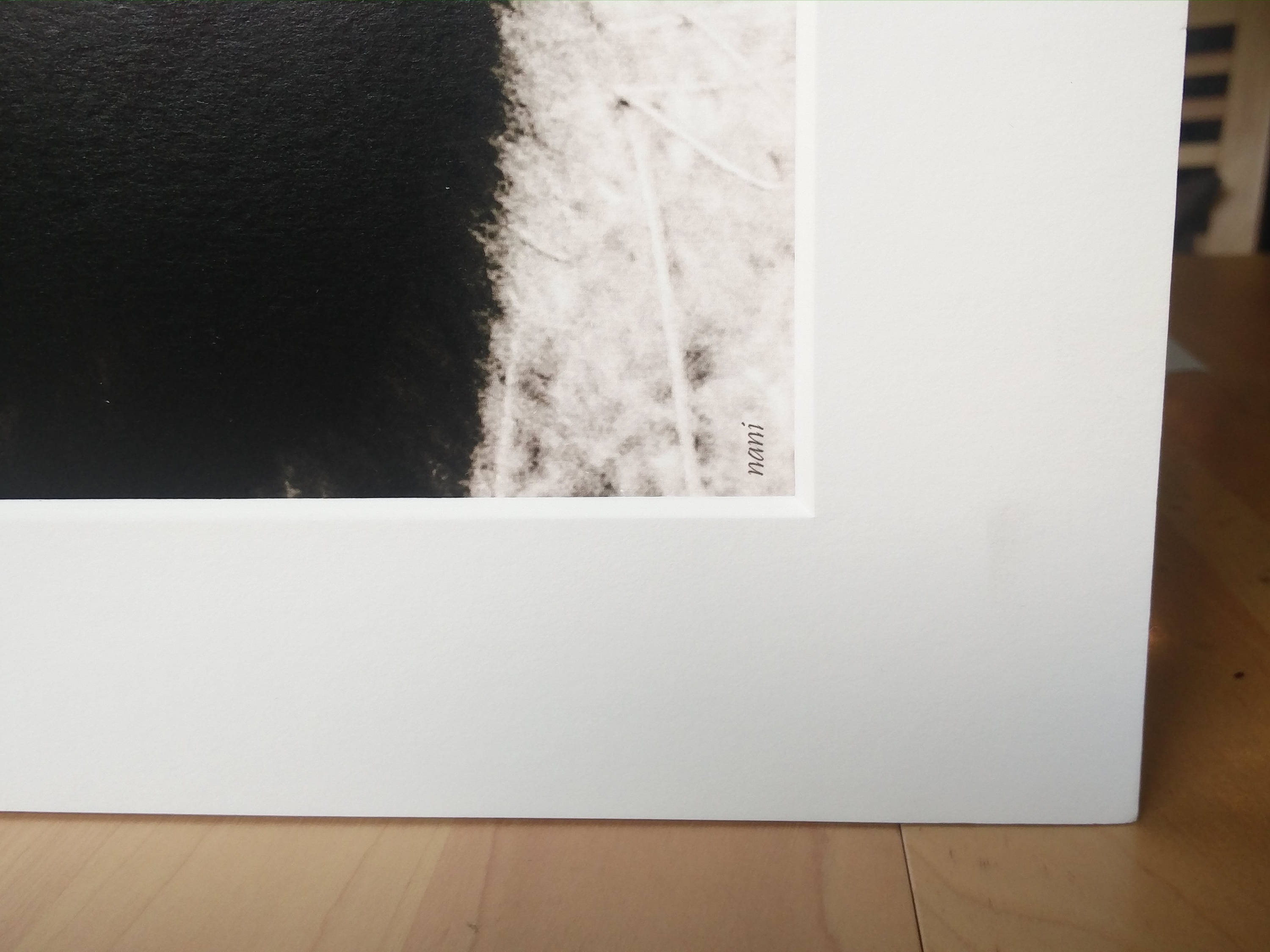 Original Photograph of Highland Cattle, Foam Board Backed, White Mat - Etsy