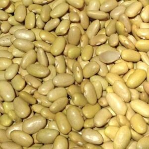 Heirloom Organic Mayo Coba Beans Mayocoba US Seller 50-300 SEEDS USPS ...