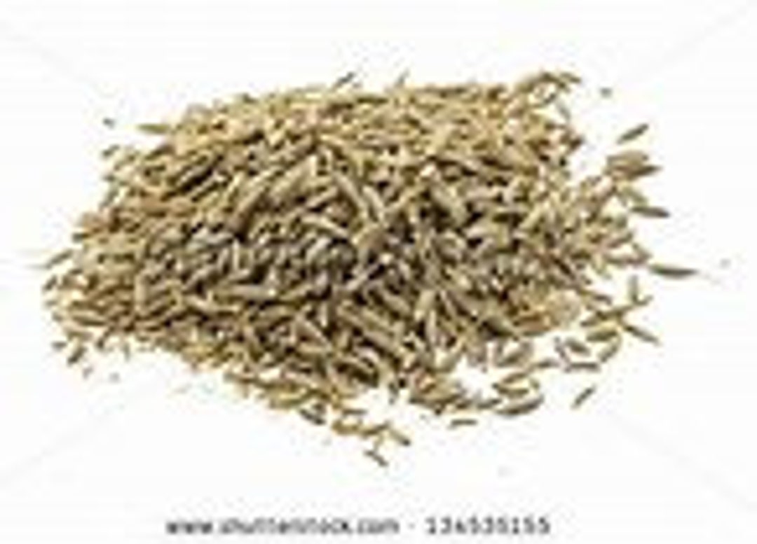 Heirloom Cumin Whole Seeds geerah US Seller 50-300 Non Gmo USPS ...