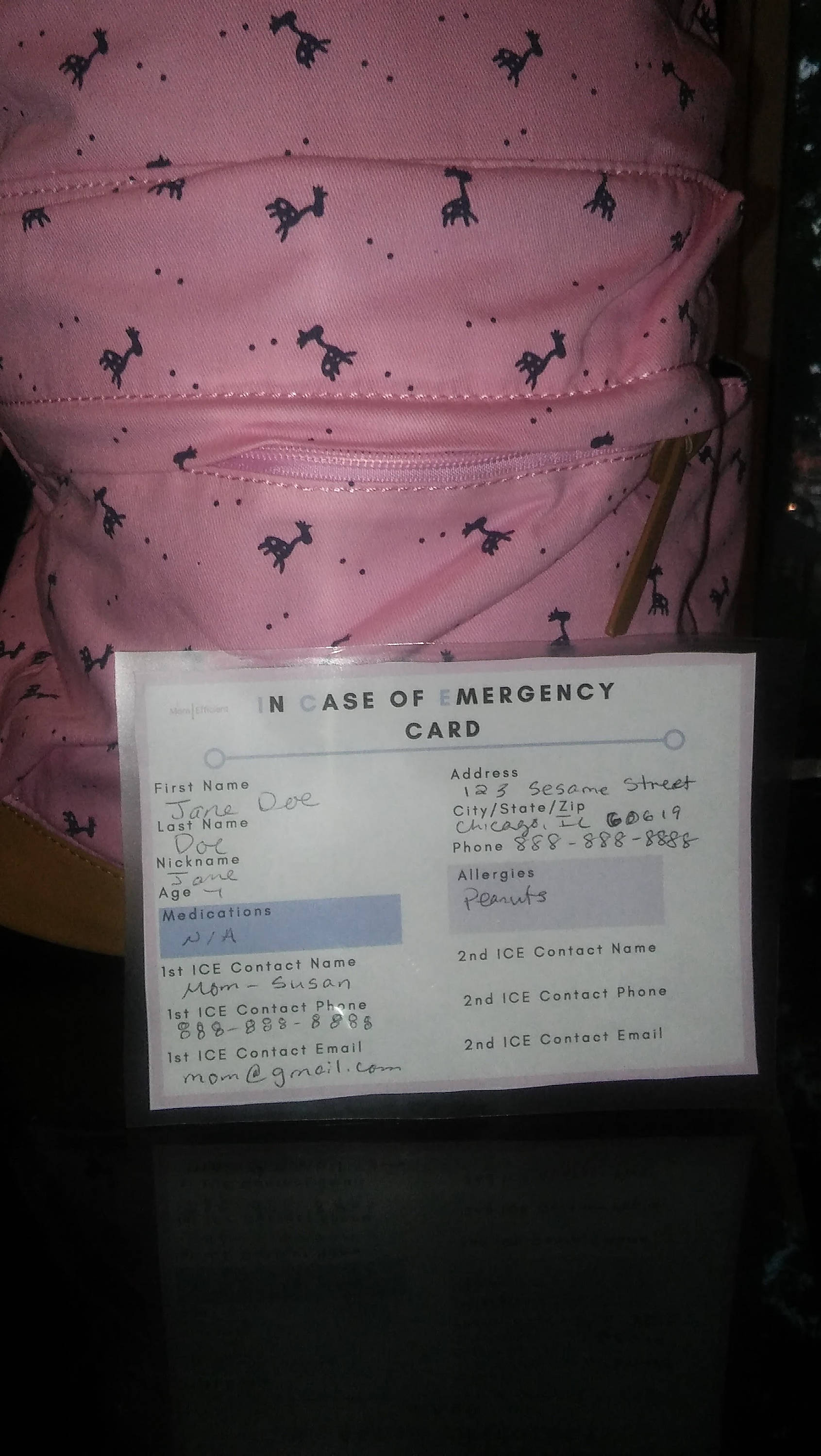 Kids Emergency Info Card | Backpack Safety Card | Editable | Instant ...