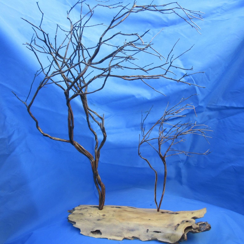 Near Gale Force Winds Incoming - Etsy