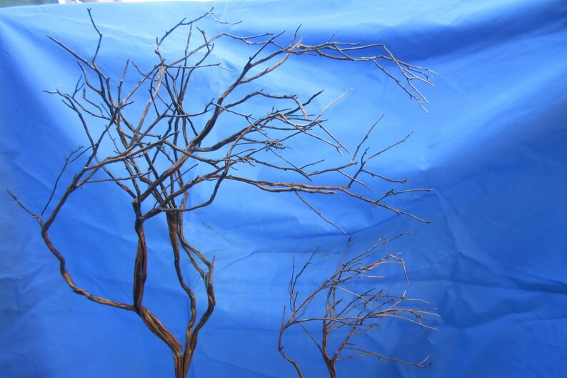 Near Gale Force Winds Incoming - Etsy