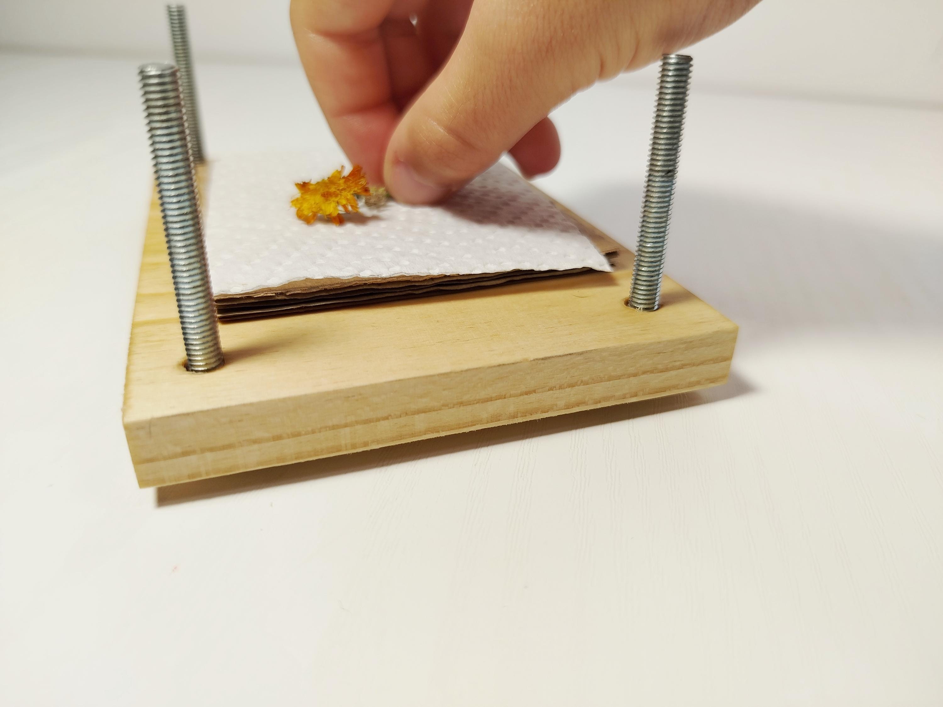 Flower Press, Drying Flowers Botanical Press, Portable Plant Press ...