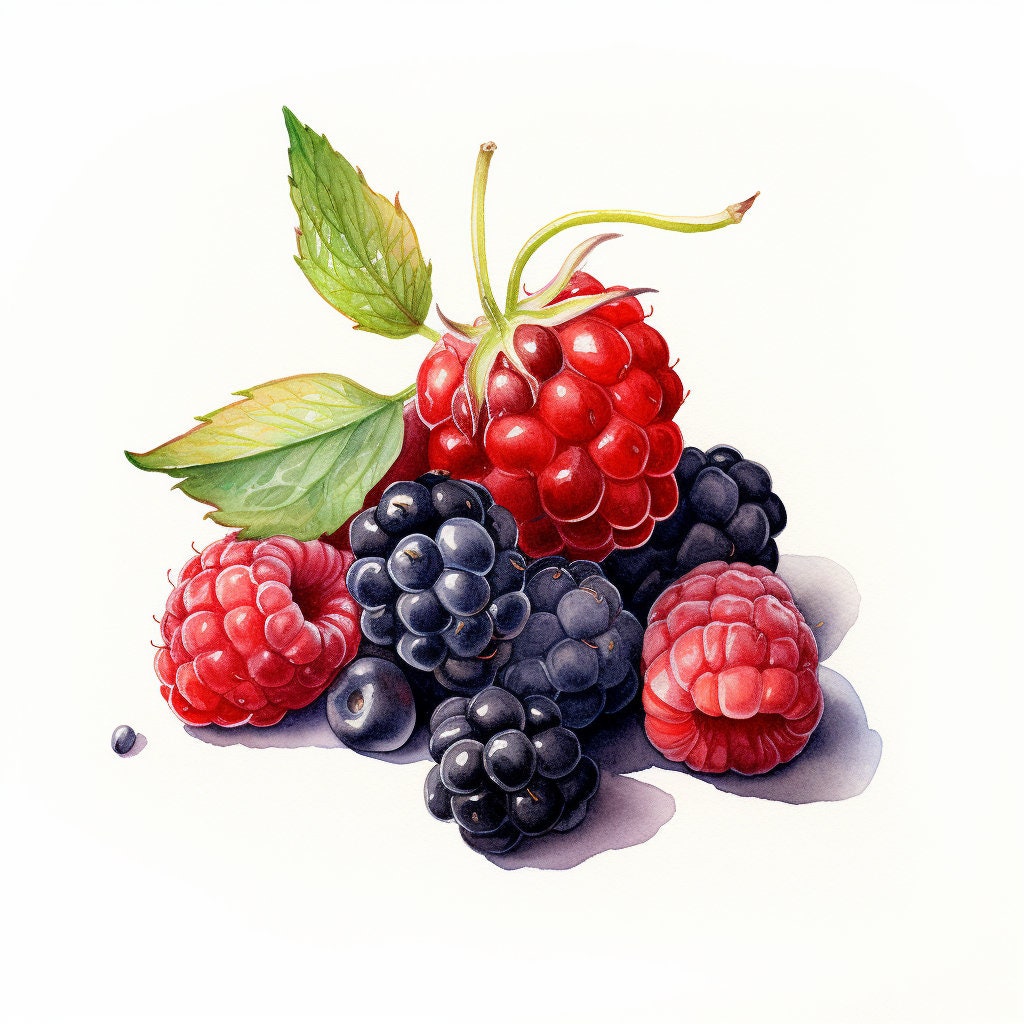 Berries on Transparent Background: High Quality Creative Files for ...