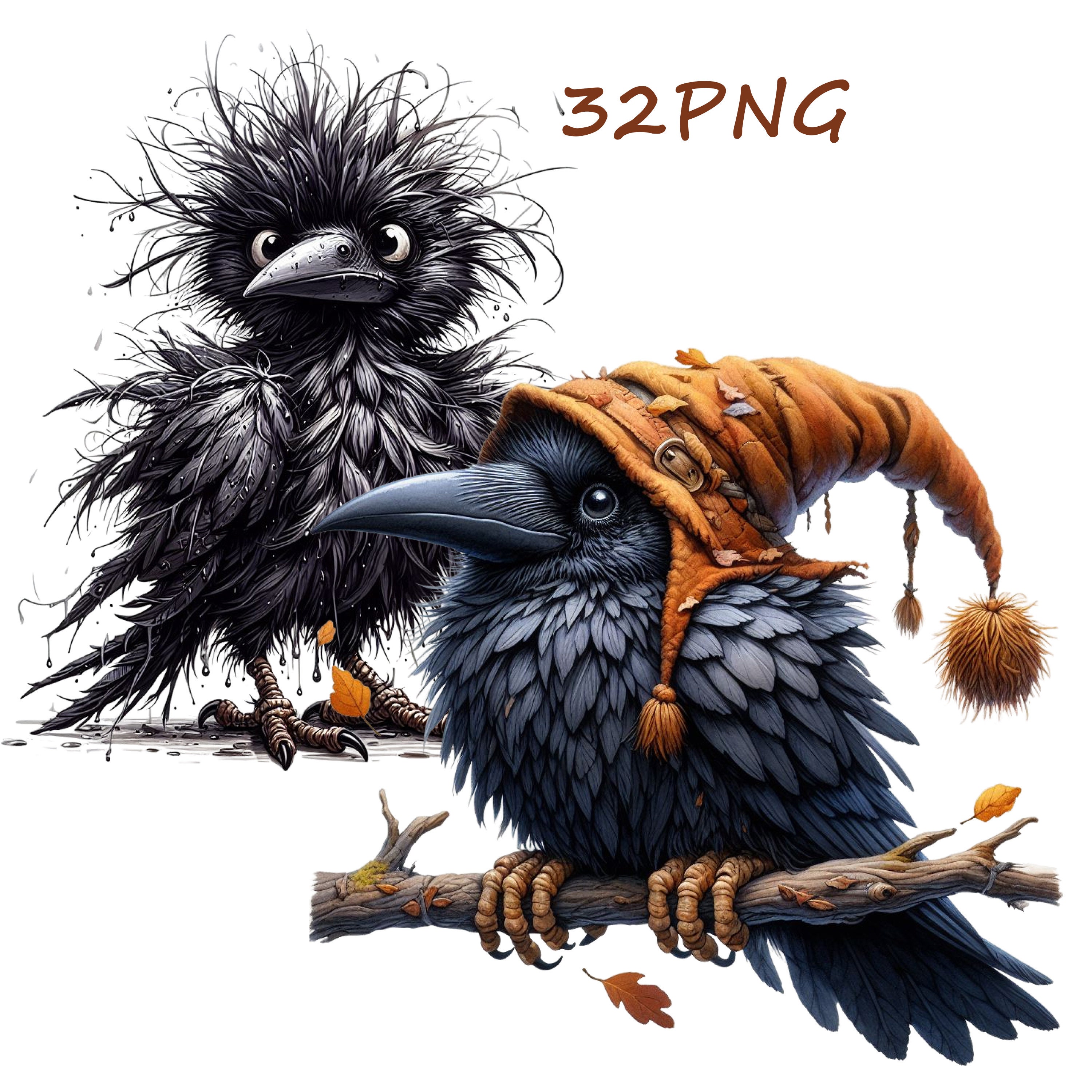 Images of Funny Raven, Images for Your Creative Activities, for ...