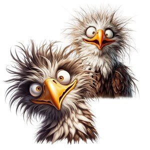 Images of a Funny Eagle, Images for Your Creativity, for Printing on ...