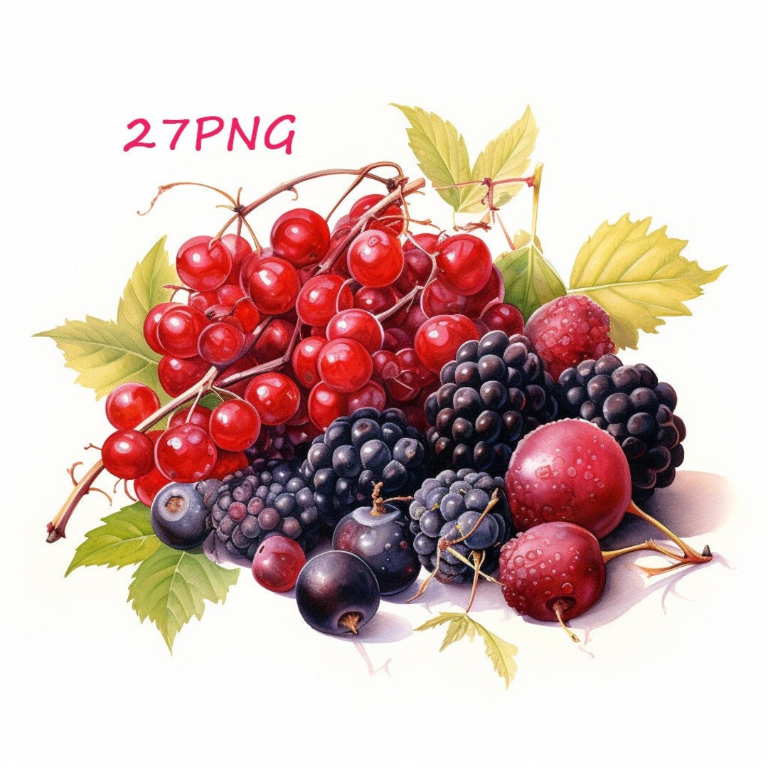 Berries on Transparent Background: High Quality Creative Files for ...
