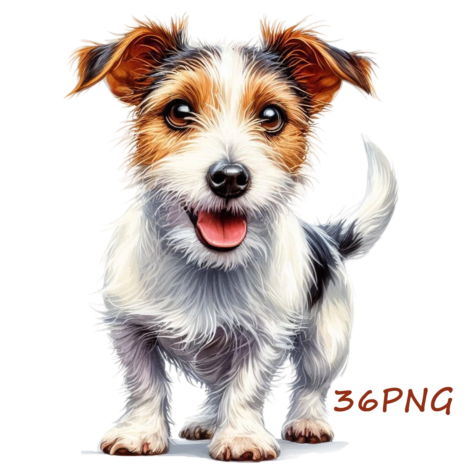 Jack Russell Terrier Images, Unusual Charm, for Your Creative Pursuits ...