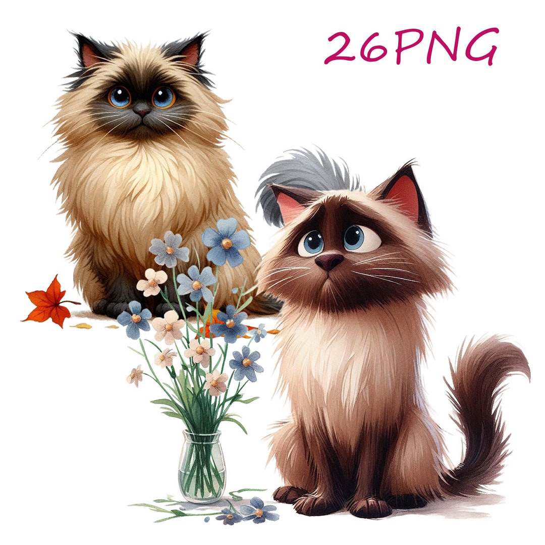 Cute Cat Drawing, Cartoon Style, Cat PNG, for Your Creative Activities ...