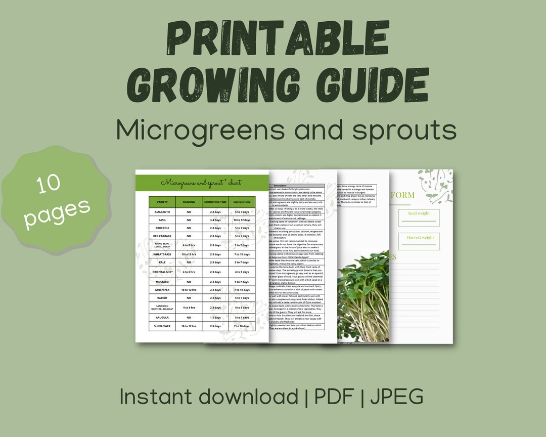 Printable Growing Guide Microgreens and Sprouts PDF Moment Download - Etsy