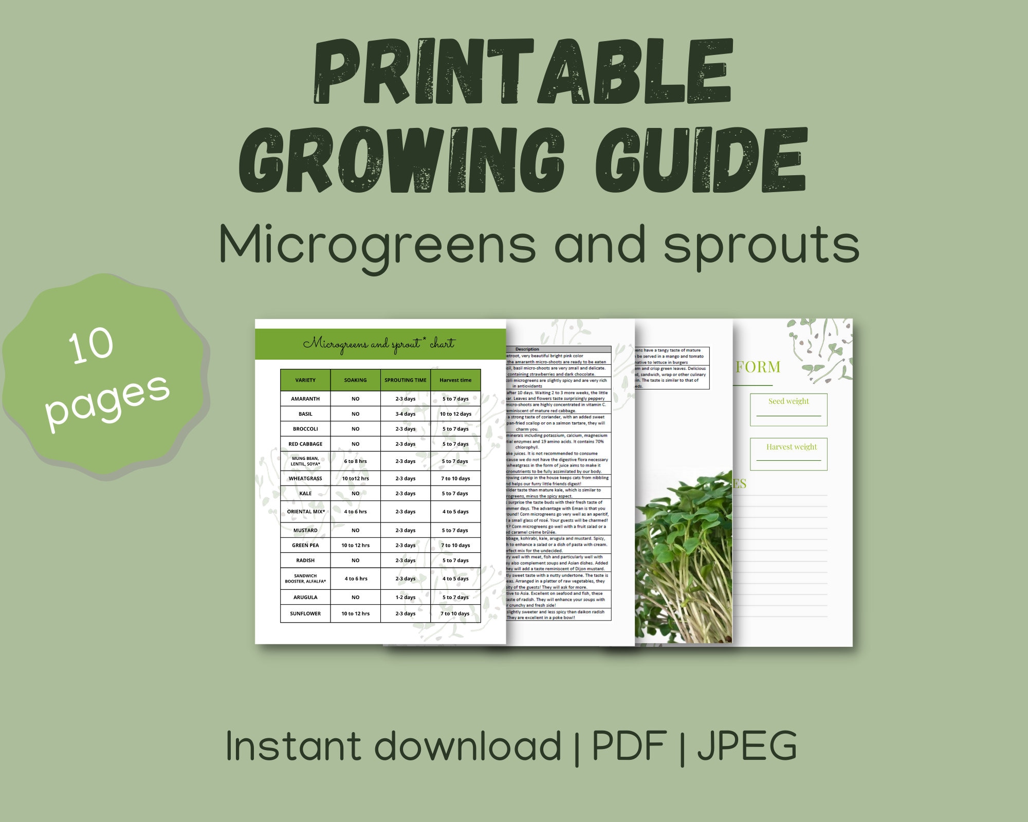Printable Growing Guide Microgreens and Sprouts | PDF | Moment Download ...