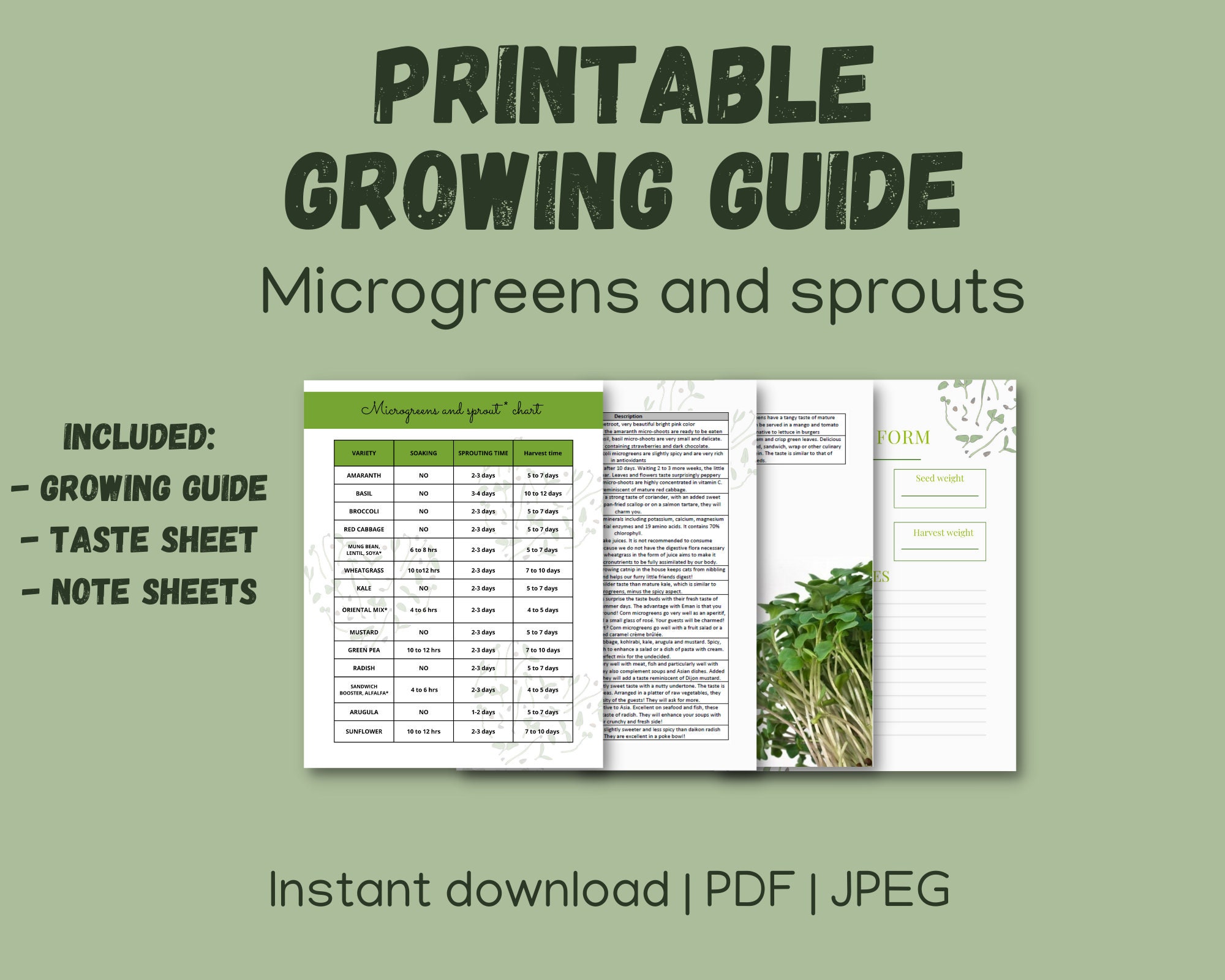 Printable Growing Guide Microgreens and Sprouts | PDF | Moment Download ...