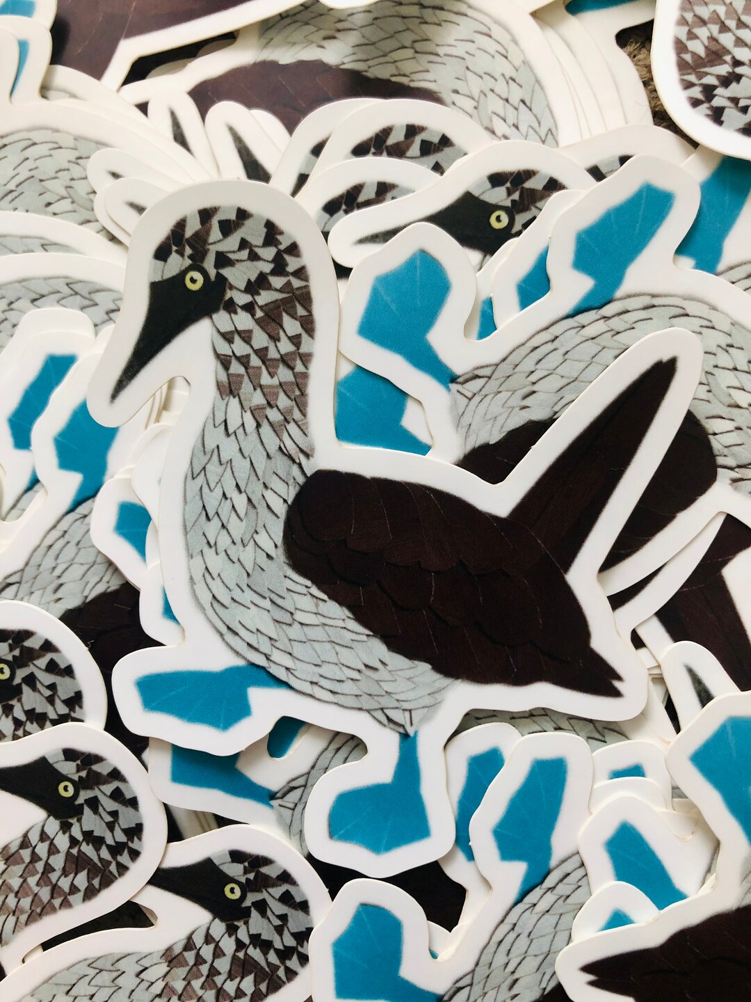 Blue Footed Booby Stickers - Etsy