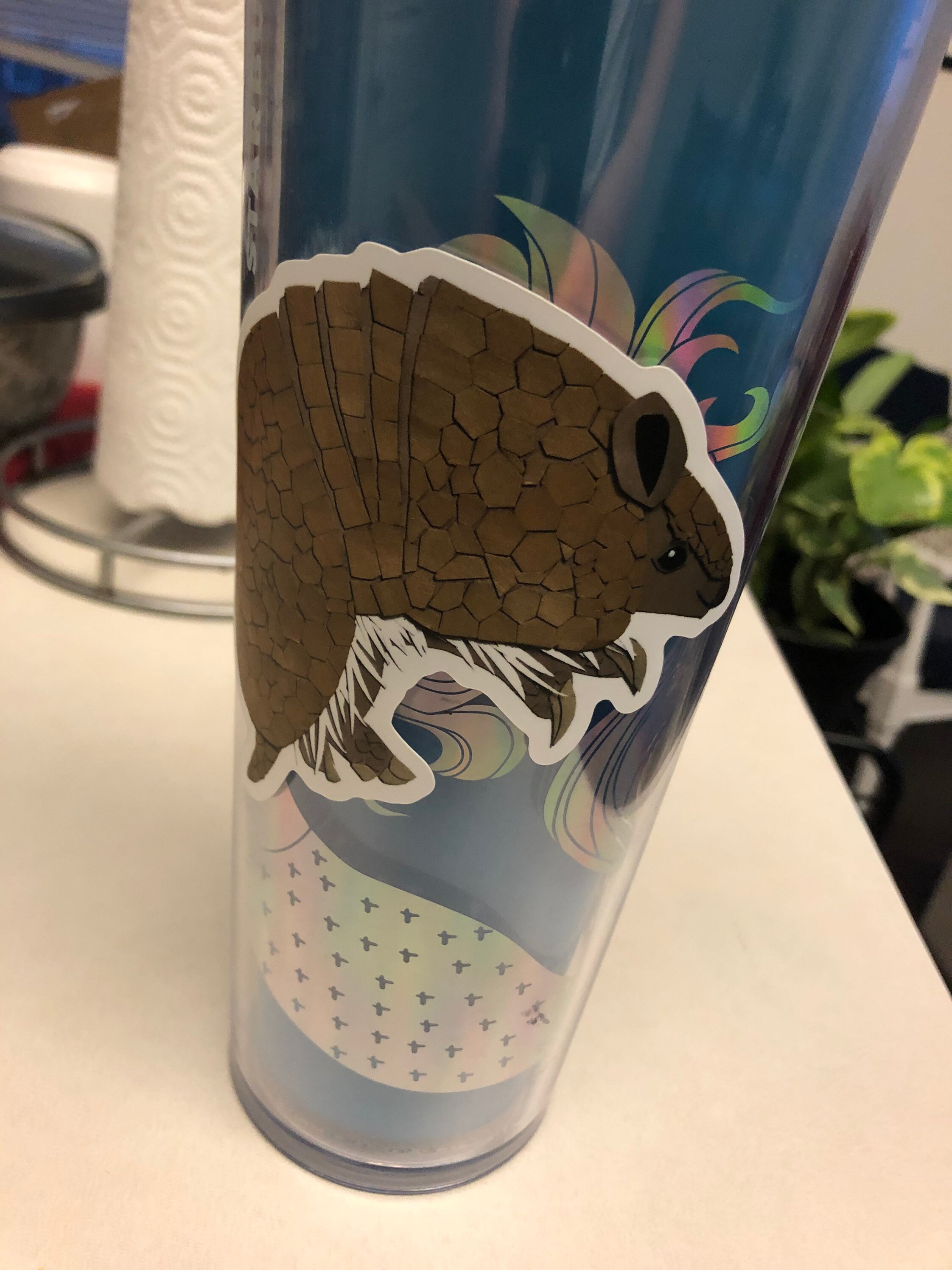 Dillo Sticker | Etsy