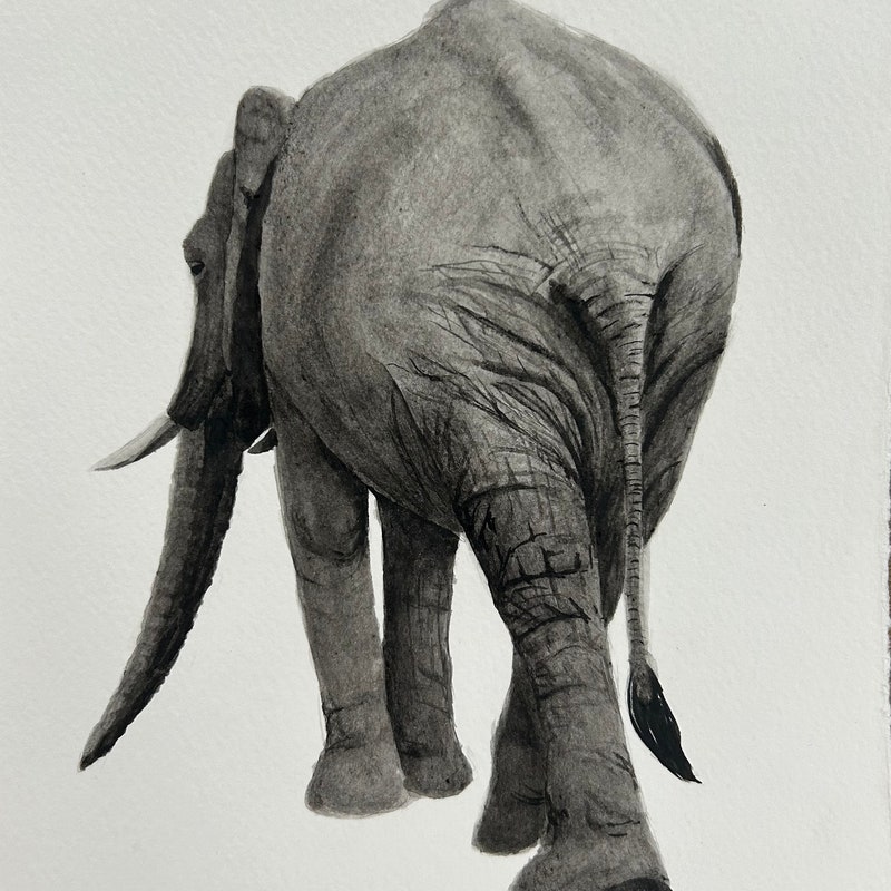 Elephant Butts - Etsy