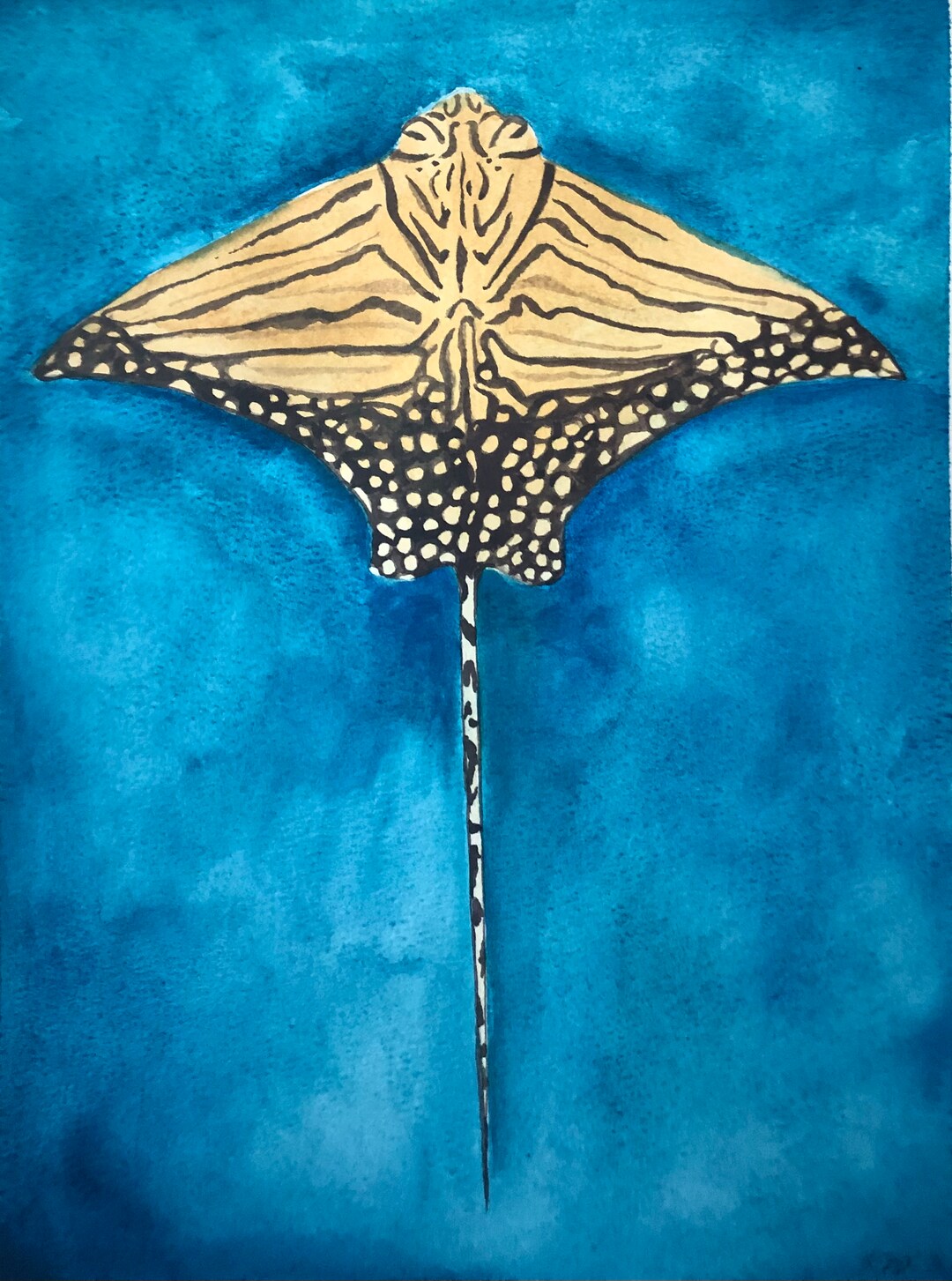 12” X 9” Ornate Eagle Ray - Etsy
