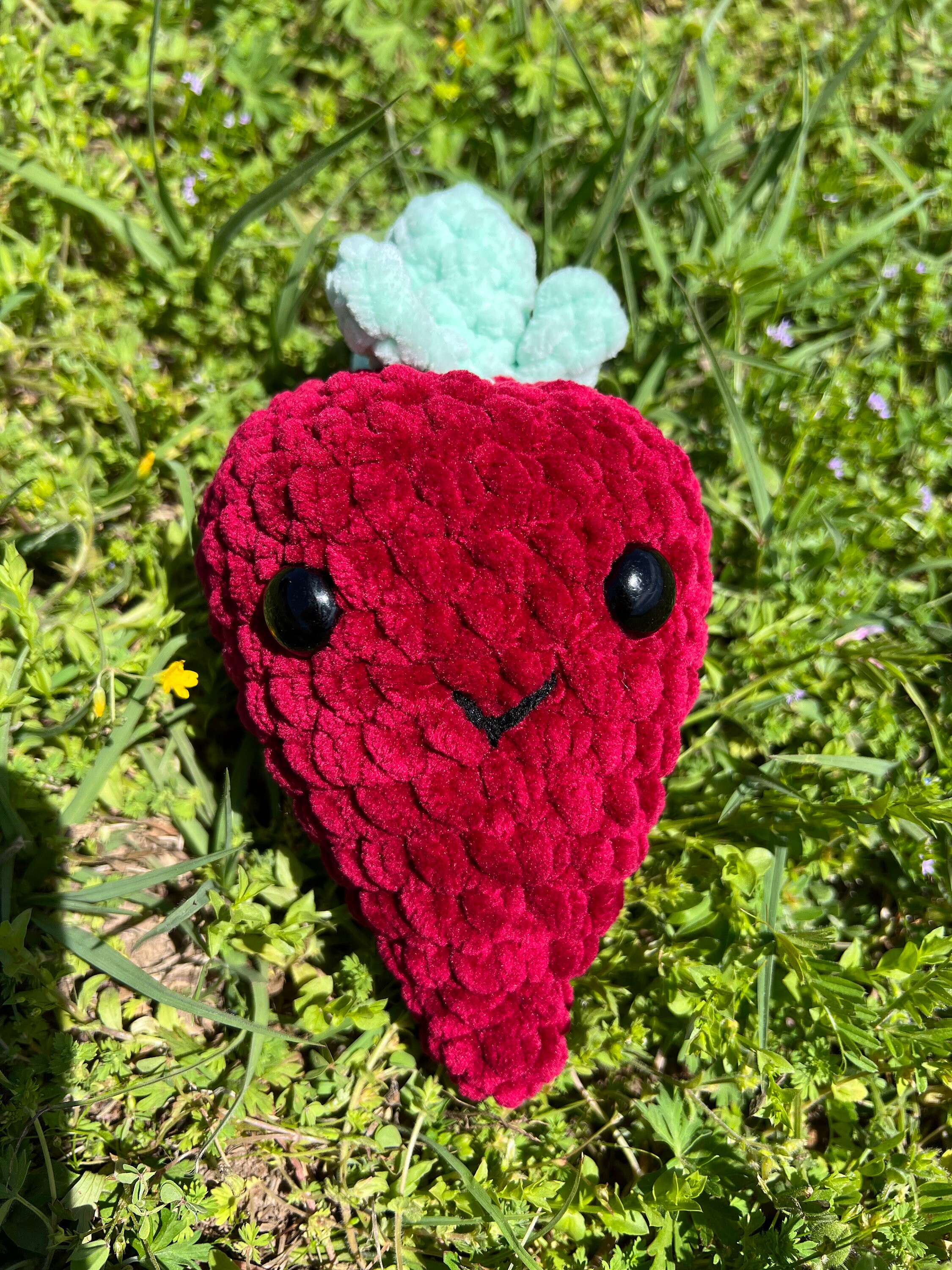 Crochet Strawberry Plushie Pattern - Etsy