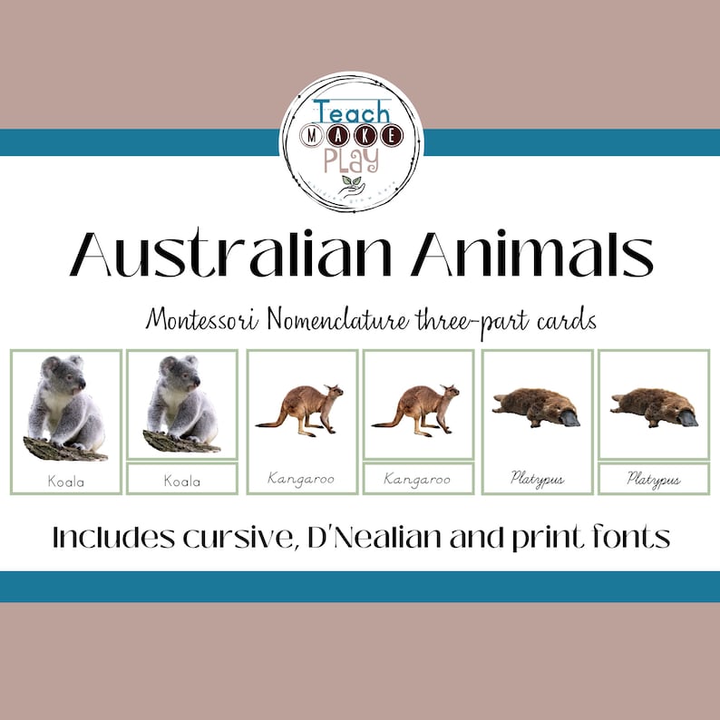 Australian Animals Nomenclature / 3-part Cards / Montessori Flash Cards ...