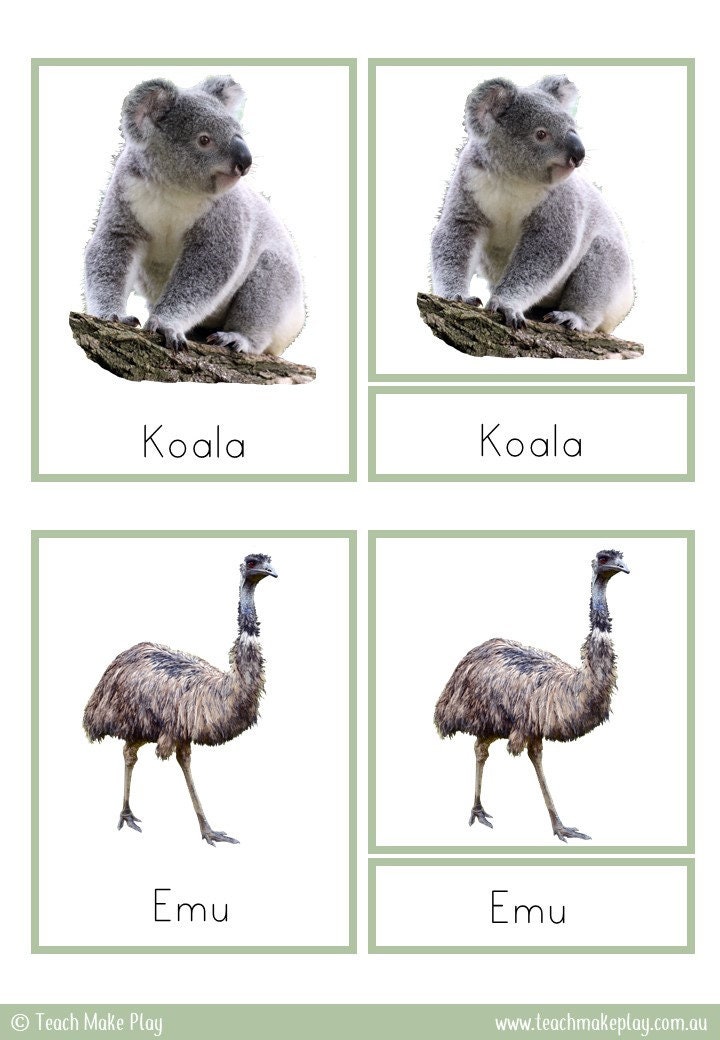 Australian Animals Nomenclature / 3-part Cards / Montessori Flash Cards ...