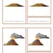 Types of Volcanoes Nomenclature / 3-part Cards / Montessori Flash Cards ...