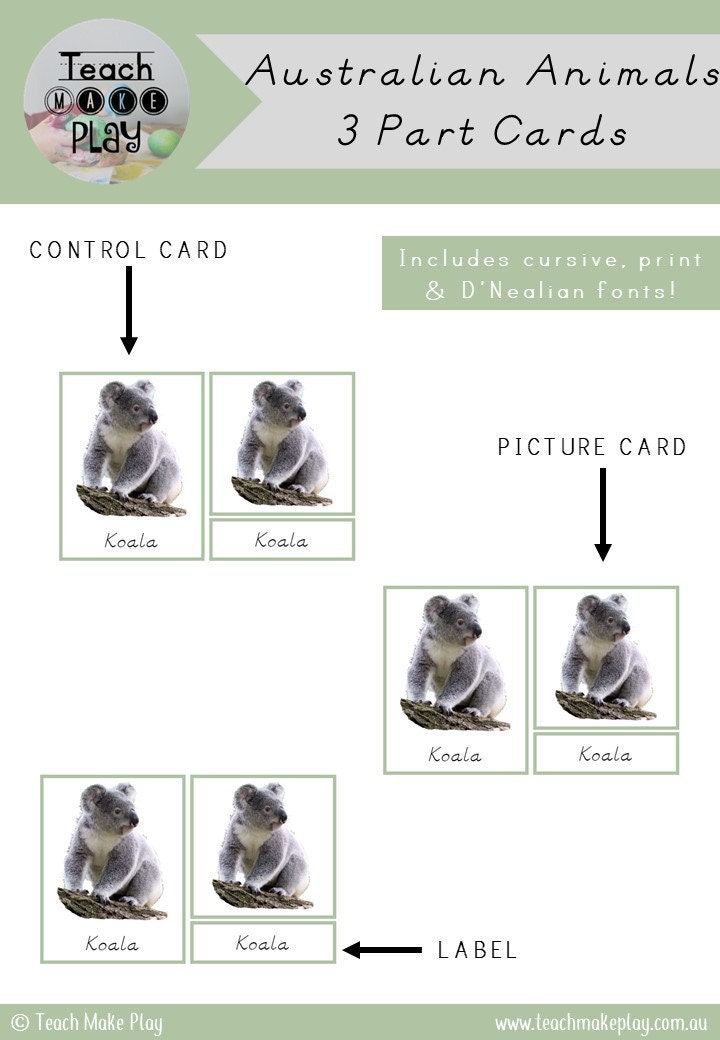 Australian Animals Nomenclature / 3-part Cards / Montessori Flash Cards ...
