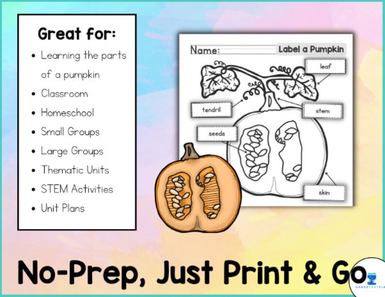 Pumpkin Science | Fall Activity | Label Parts of a Pumpkin Diagram - Etsy