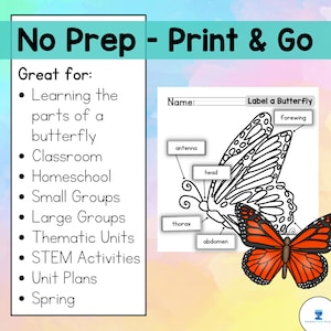 Butterfly Science - Label Parts of a Butterfly Diagram - Etsy
