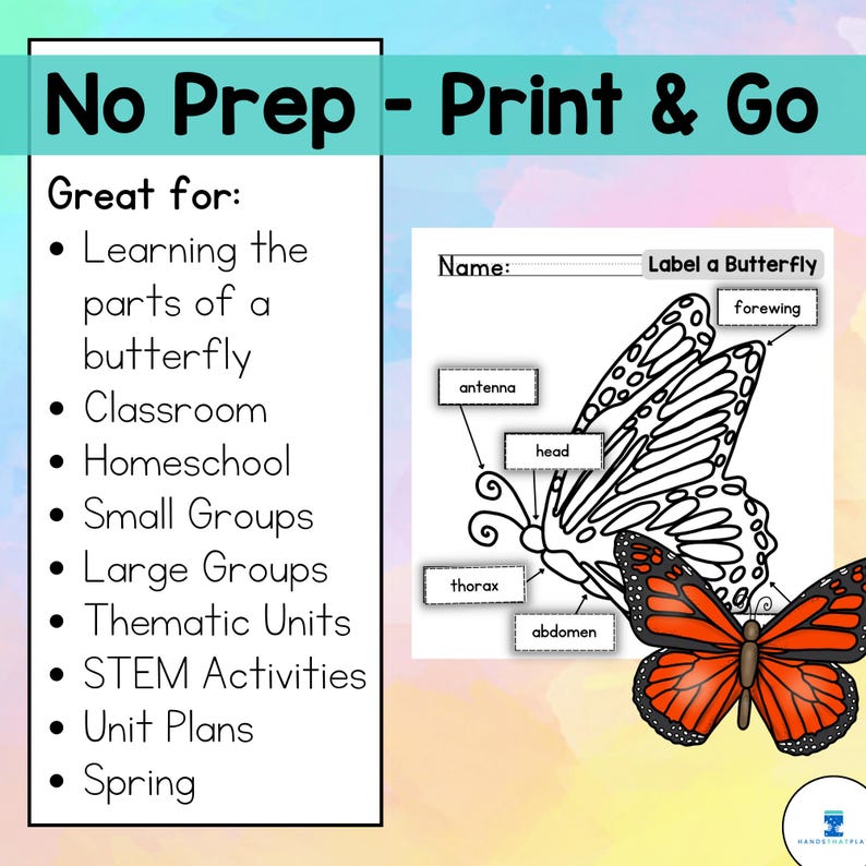 Butterfly Science - Label Parts of a Butterfly Diagram - Etsy