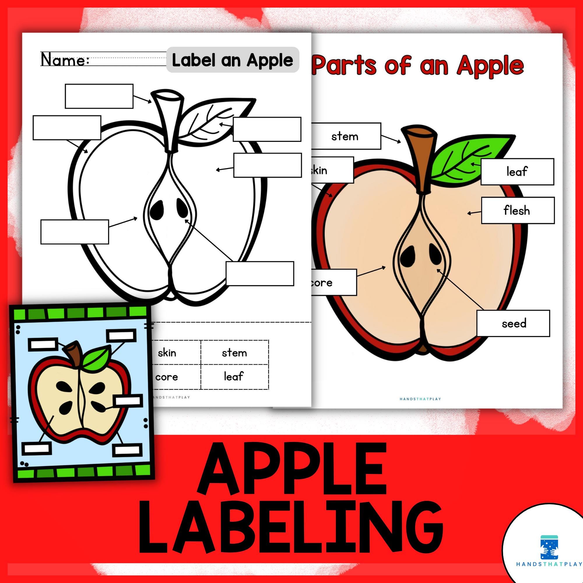 Apple Unit Study | All About Apples | Science, Math, Literacy, Craft ...