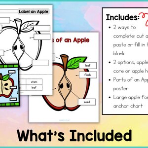 Apple Science - Label Parts of an Apple Diagram (apple Core or Apple ...