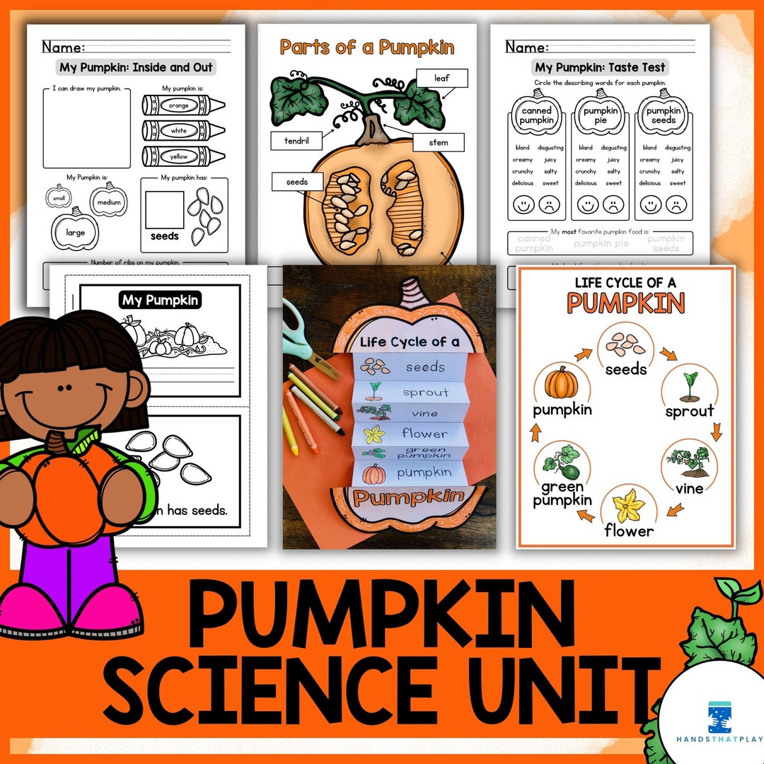 Pumpkin Science Unit Study | All About Pumpkins | Science, Math ...