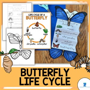 Butterfly Life Cycle | Life Cycle of a Butterfly | Craft - Etsy