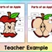 Apple Science - Label Parts of an Apple Diagram (apple Core or Apple ...