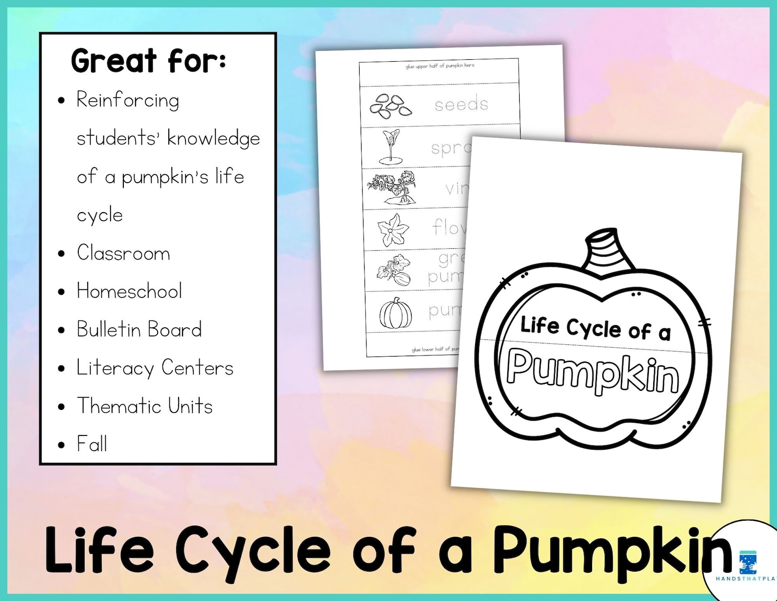 Pumpkin Life Cycle | Life Cycle of a Pumpkin | All About Pumpkins ...