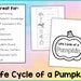 Pumpkin Life Cycle | Life Cycle of a Pumpkin | All About Pumpkins ...