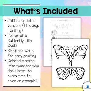 Butterfly Life Cycle | Life Cycle of a Butterfly | Craft - Etsy