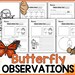 Butterfly Observation Journal Life Cycle: Caterpillar to - Etsy